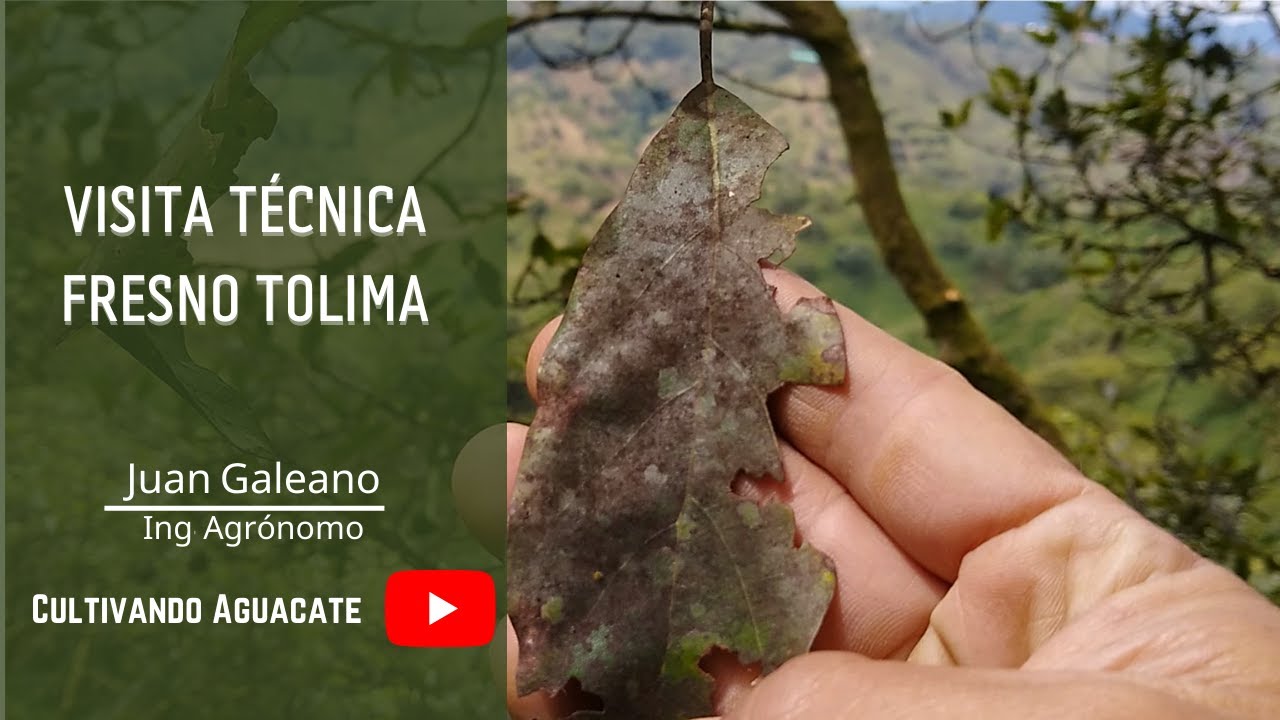 Visita Técnica Fresno Tolima - YouTube