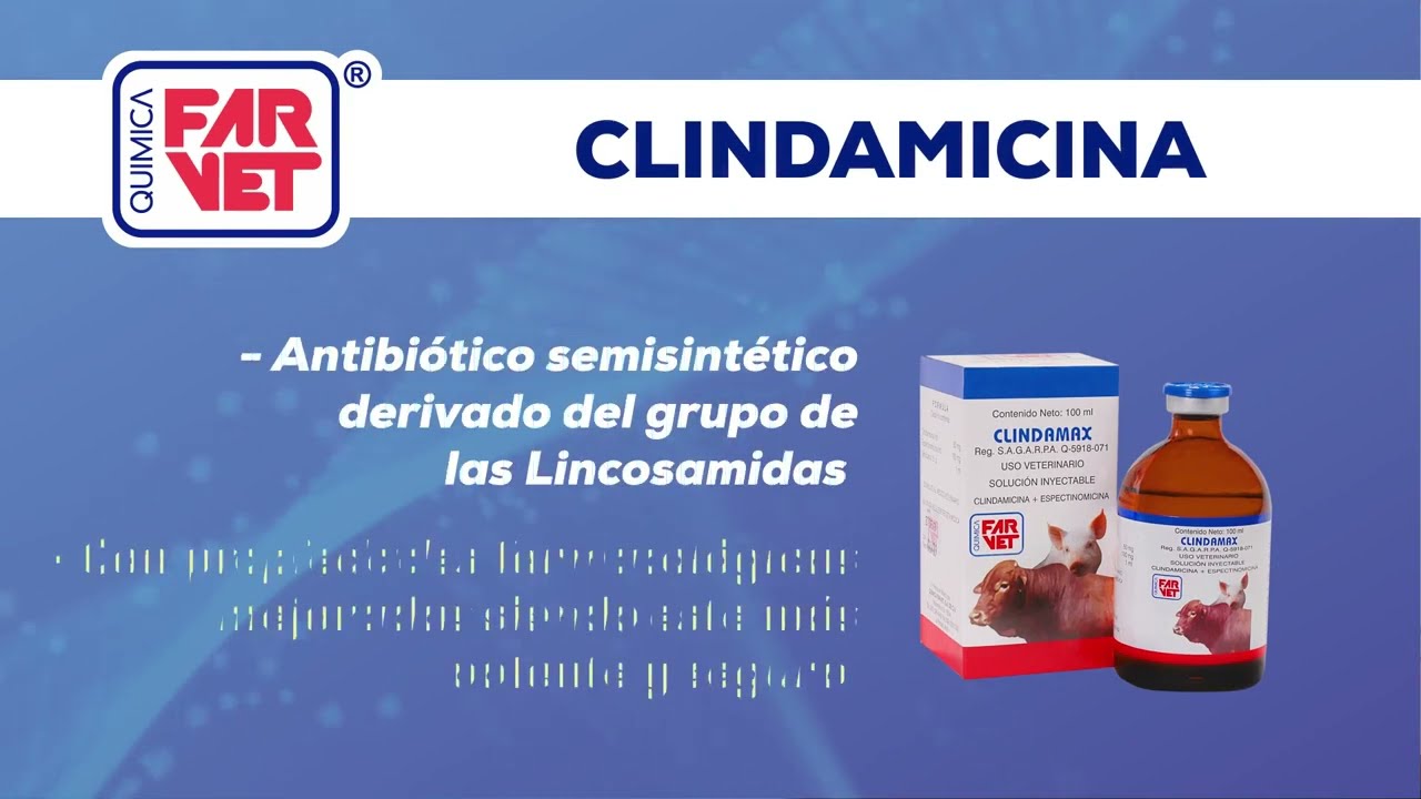 POTENTE COMBINACION CONTRA NEUMONIAS: CLINDAMICINA + ESPECTINOMICINA ...
