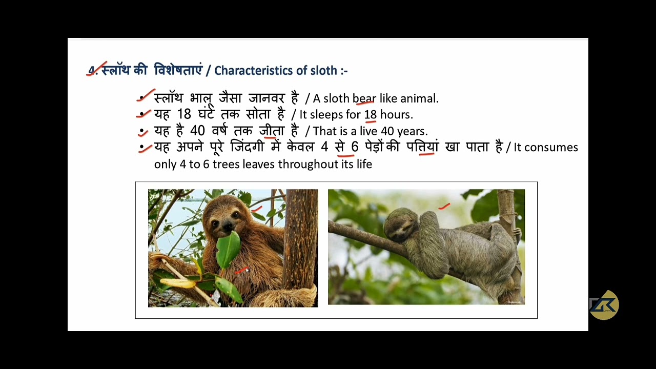 Animal fact file ,,🐍 animal ka bara ma🐂🐆🐇🐈🐊🐊🐍🕷️👍🙏 - YouTube