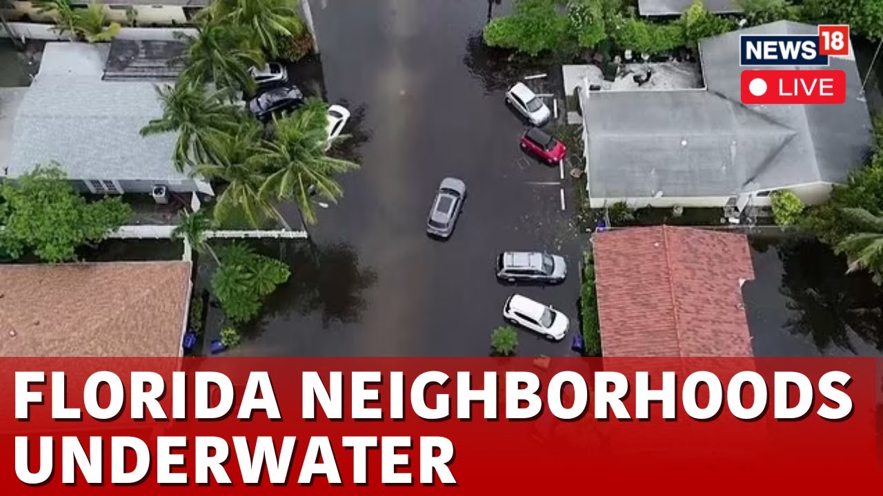 Milton Hurricane Aftermath | Brandon Florida LIVE | Milton Hurricane In ...