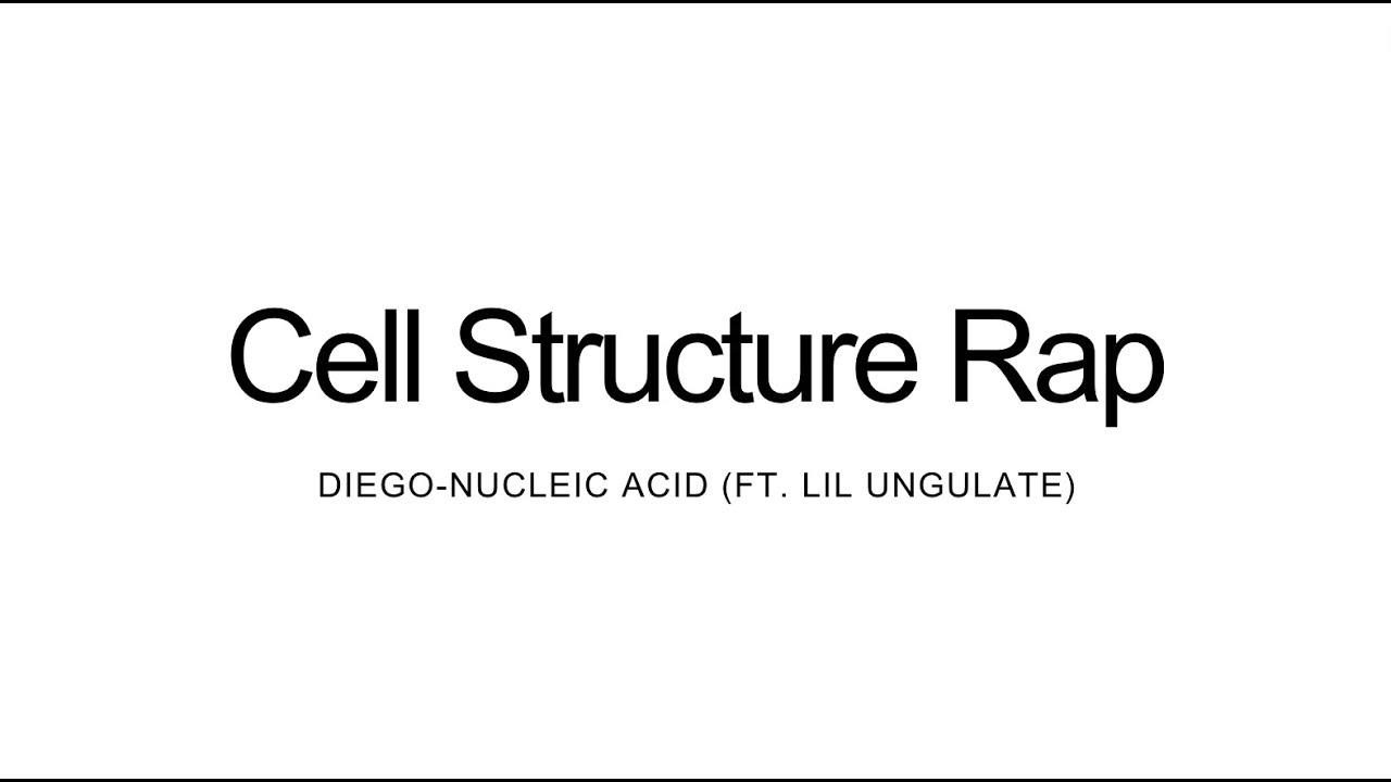 Cell Structure Rap (AP Bio Unit 2) - YouTube