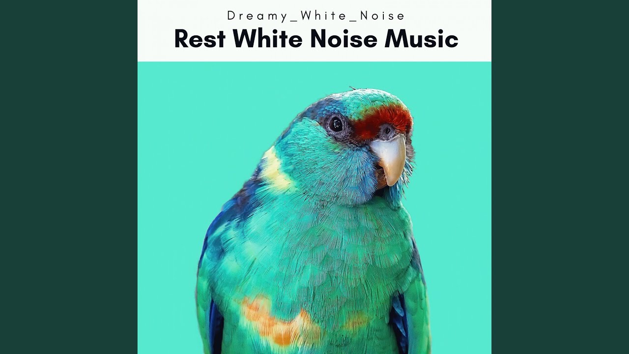 Joy of Colorful Noise Sounds for Unique REM - YouTube