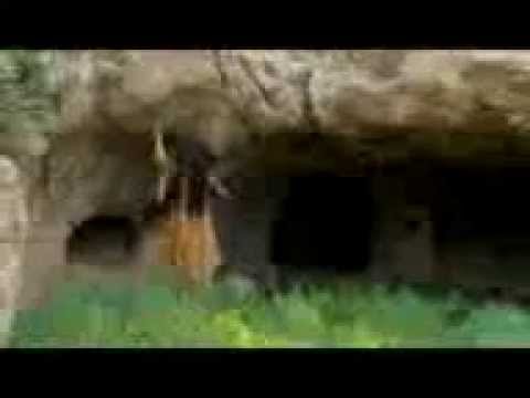 Dünyayı Ağlatan Kürtçe Şarkı