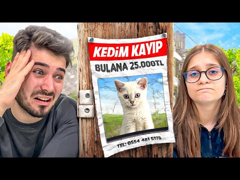 KEDİM KAYBOLDU ! Bulana 25.000 TL Ödül (Dolandırıldım)