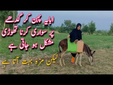 Donkey riding in burka | Bhut maza ata hy is tra | Donkey rider lady ...