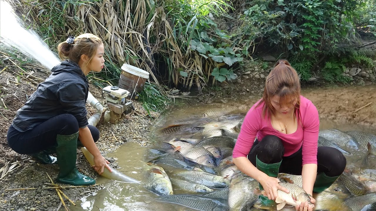 Unique Fishing, Catch Fish In The Wild, Survival Fishing, Catch Big ...