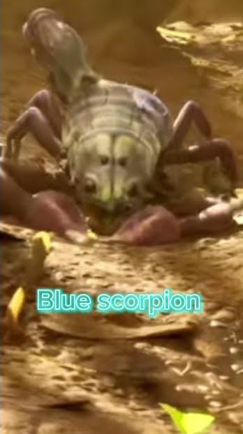 Every new bug in *GROUNDED 2* - YouTube