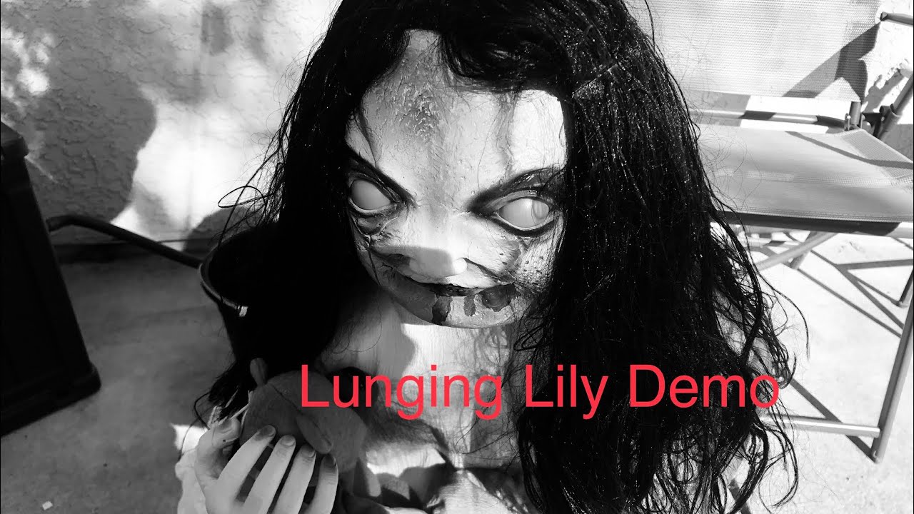 Lunging Lily Demo - YouTube