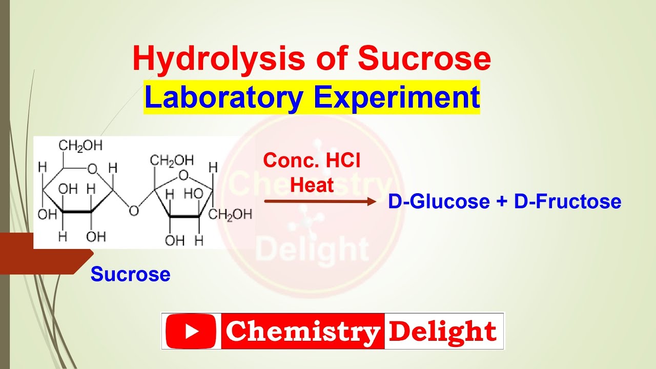 Hydrolysis of Sucrose - YouTube