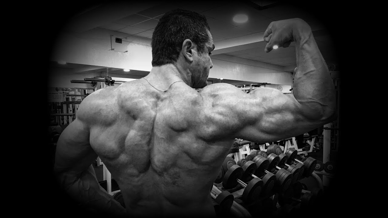La barre au front pour les triceps : Pour qui ? Comment ? et Variantes ...