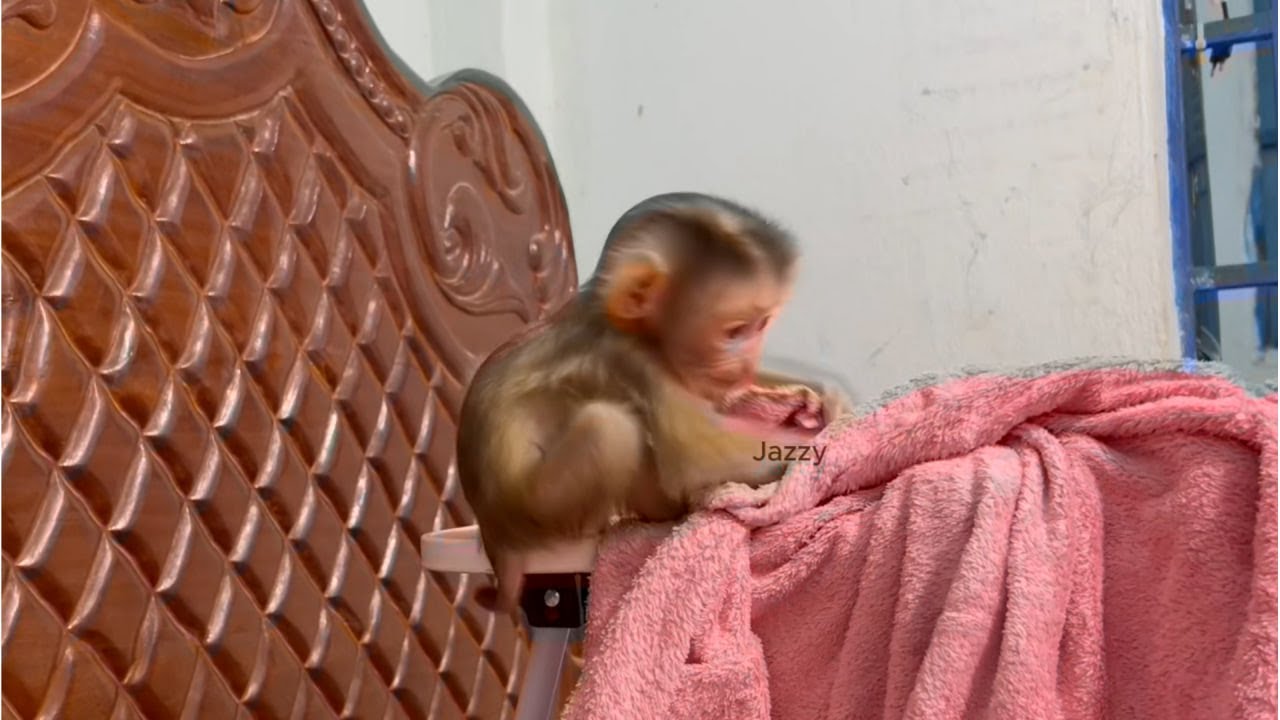 Baby## Monke fall from bed Baby# monkey can not stat....# - YouTube