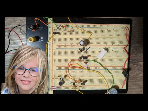 Project: Microphone with Amplified Speaker - Full Build - YouTube