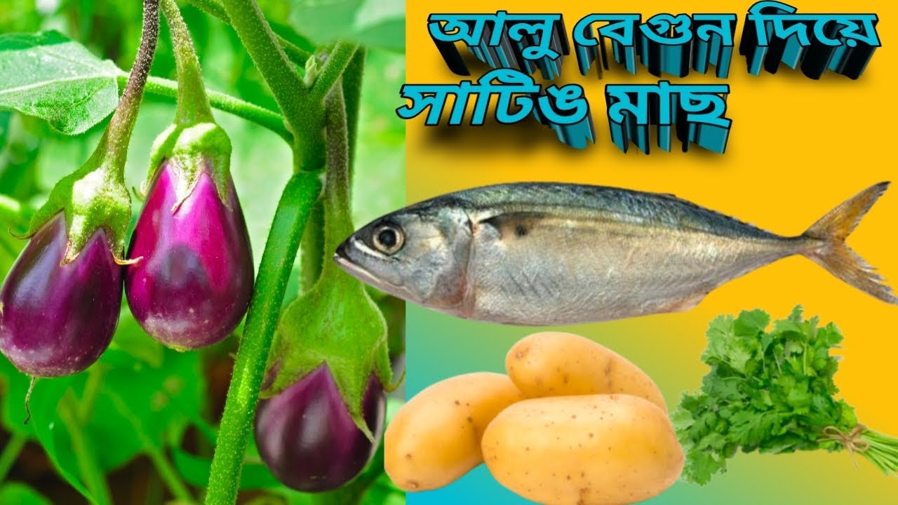 খুব সহজেই বানিয়ে ফেলুন সাটিঙ মাছের এই অসাধারন রান্না। (sating fish ...