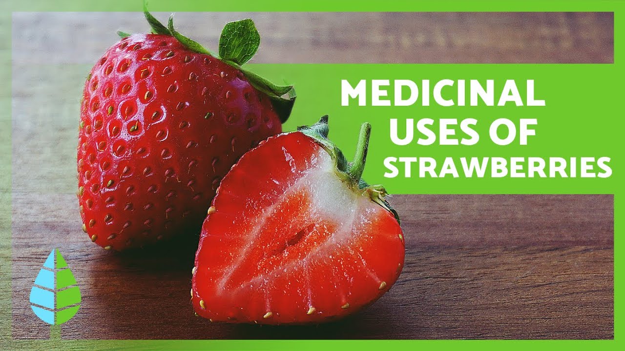 Health Benefits and Uses of Strawberries🍓 | Can Strawberries Boost Your ...