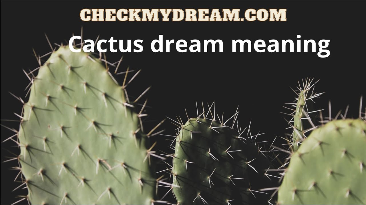 5 Hidden Secrets to Decoding Your Cactus Dreams Tonight - YouTube