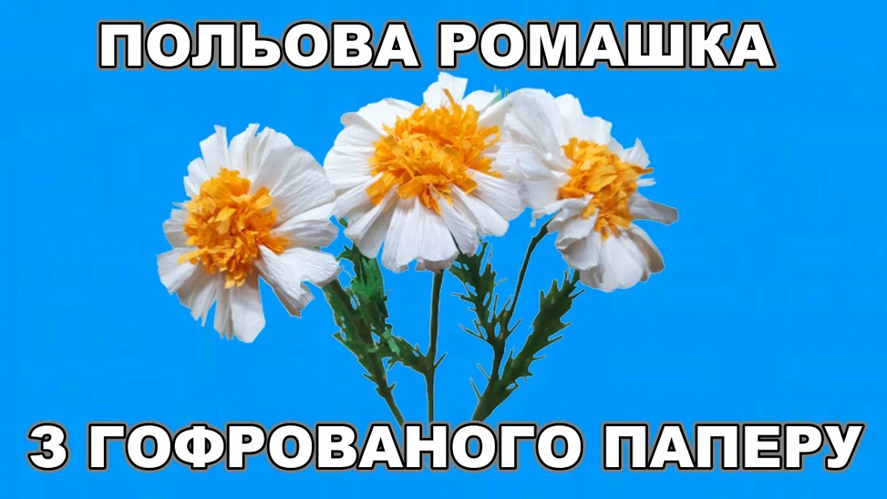 Diy ПОЛЬОВА РОМАШКА З ГОФРОВАНОГО ПАПЕРУ Youtube