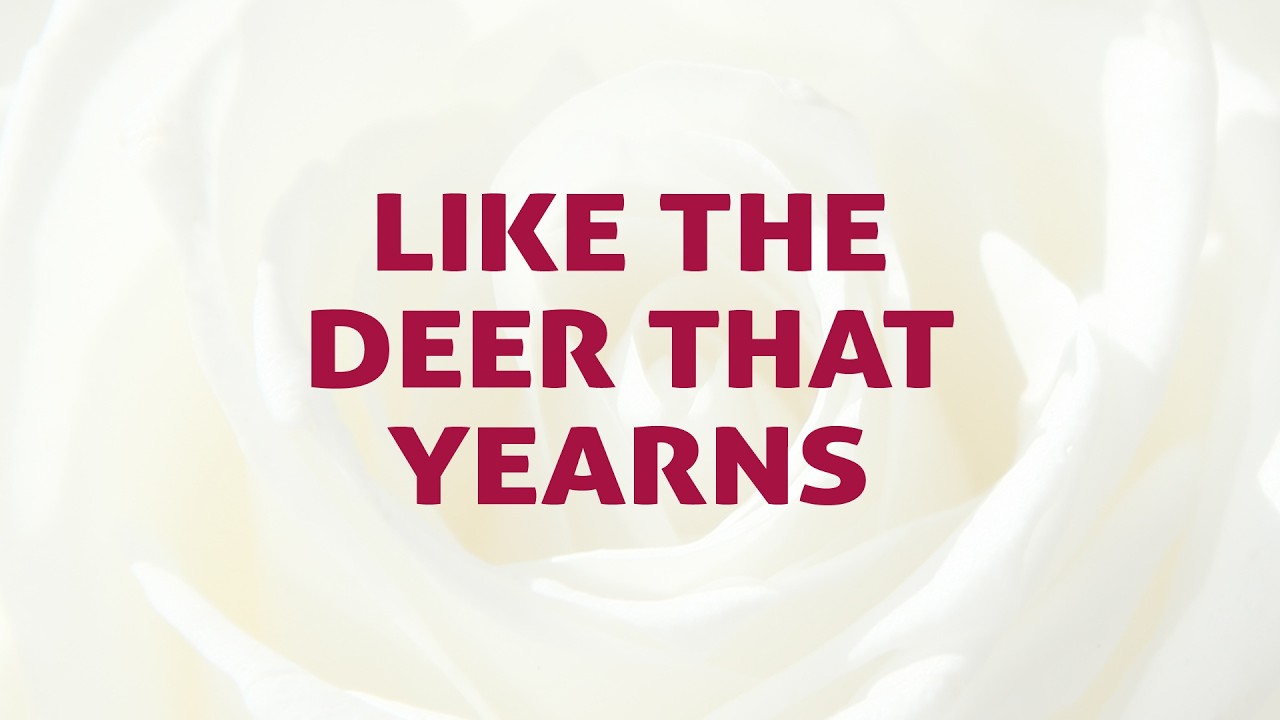 Like The Deer That Yearns Song Lyrics | Z41 | With Joyful Lips Hymns ...