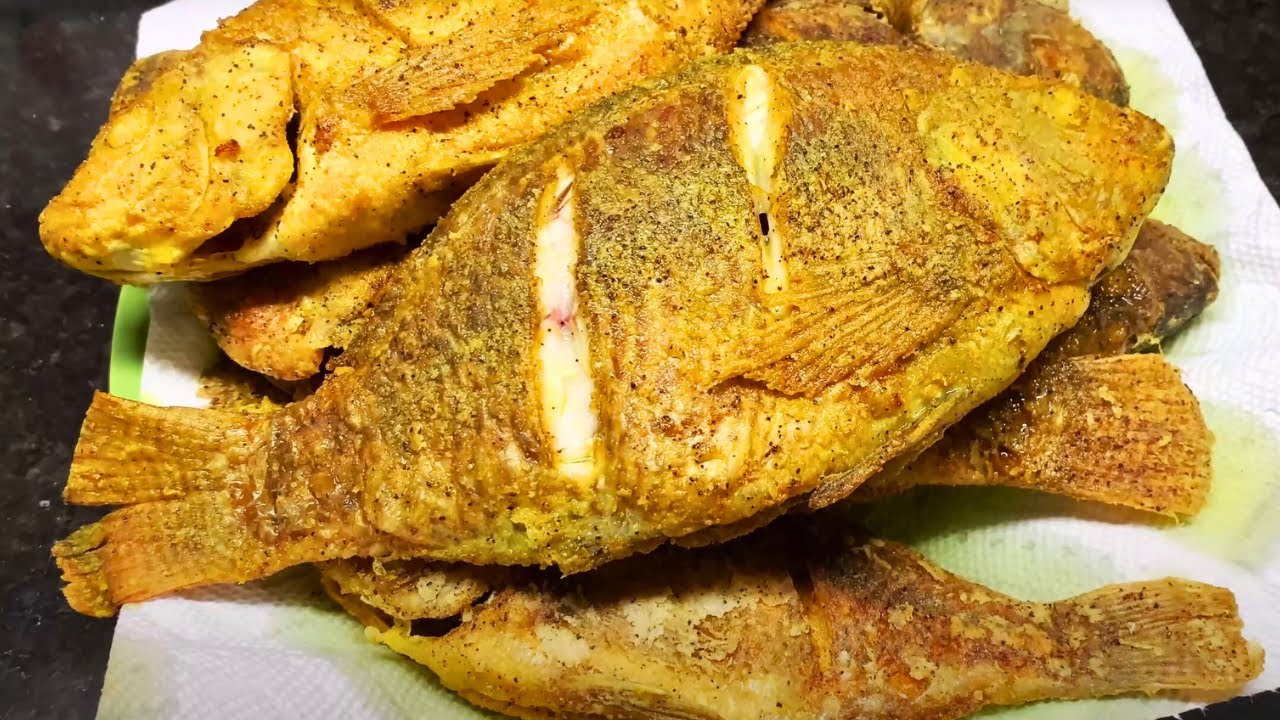 Fresh Organic Fried Tilapia Fish Recipe | Harvesting and Cooking ...