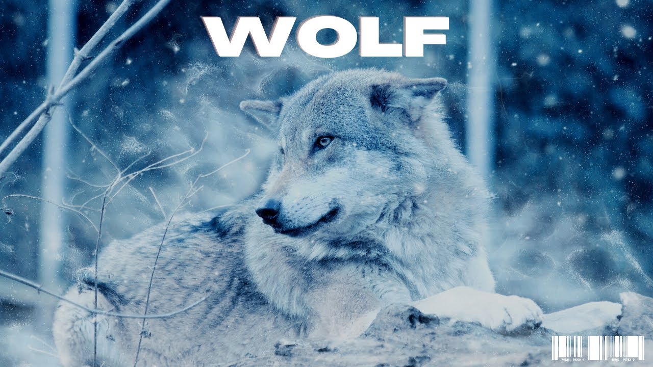 [FREE] Tech House x Electro Type Beat | House Type Beat 2022 - ''WOLF ...