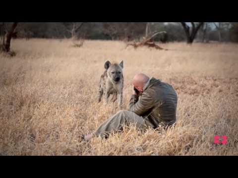 Beautiful News powered by Mercedes-Benz
