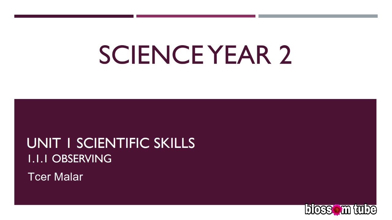 Science Year 2 | Science Skills | Observing - YouTube