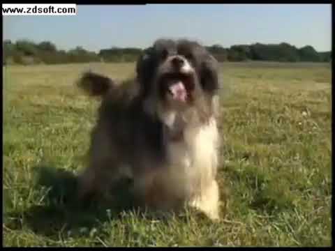 come outside opening credits - YouTube