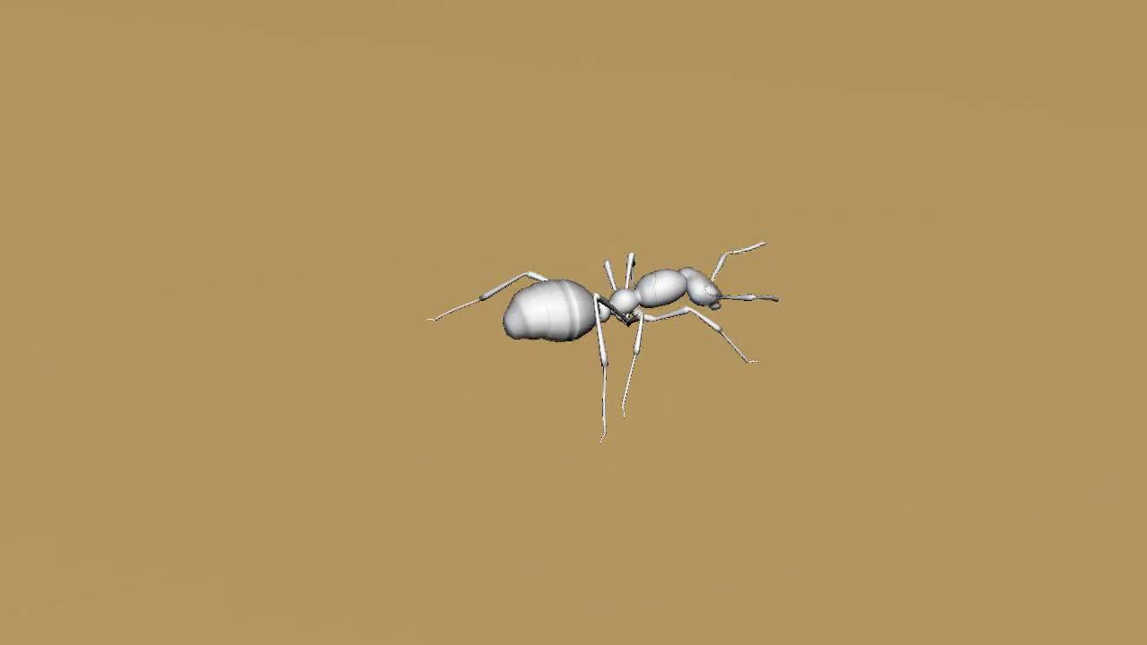 ant run animation - YouTube
