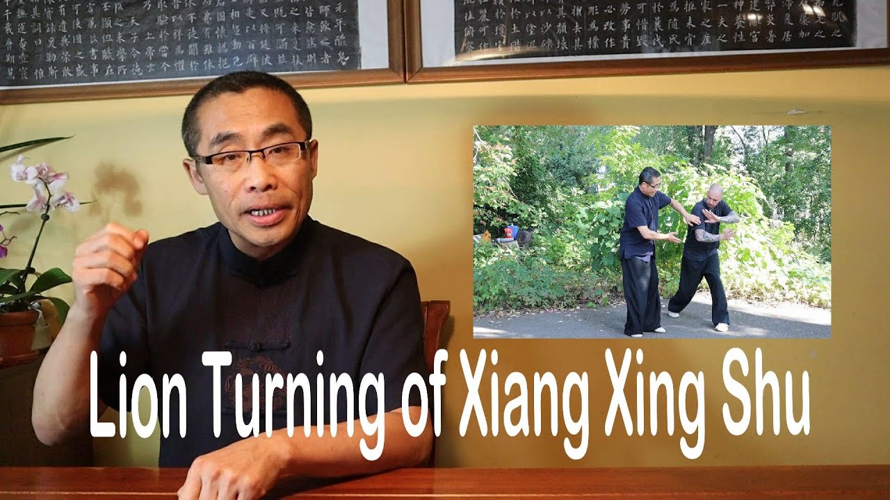 Basic Practice Teaching Series (25): Lion Turning of Xiang Xing Shu ...