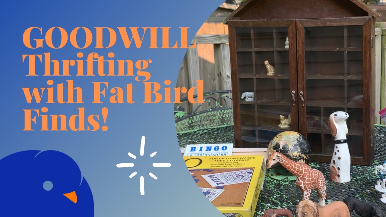 Shop Along with us at GOODWILL | Reselling on eBay | Thrift with me ...