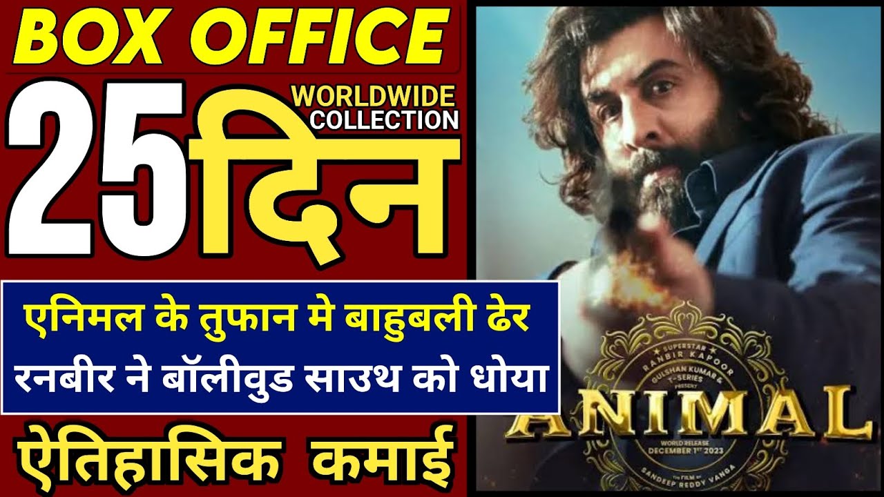 Animal Box Office Collection | Animal 25th Day Collection, Animal 24th ...