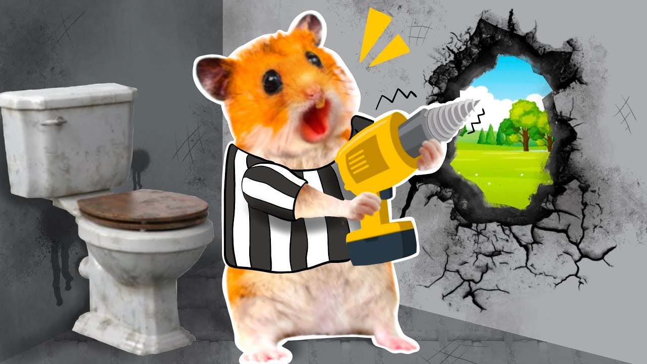 Hamster Escaping MAXIMUM SECURITY PRISON - Funny Hamster Cartoon by ...