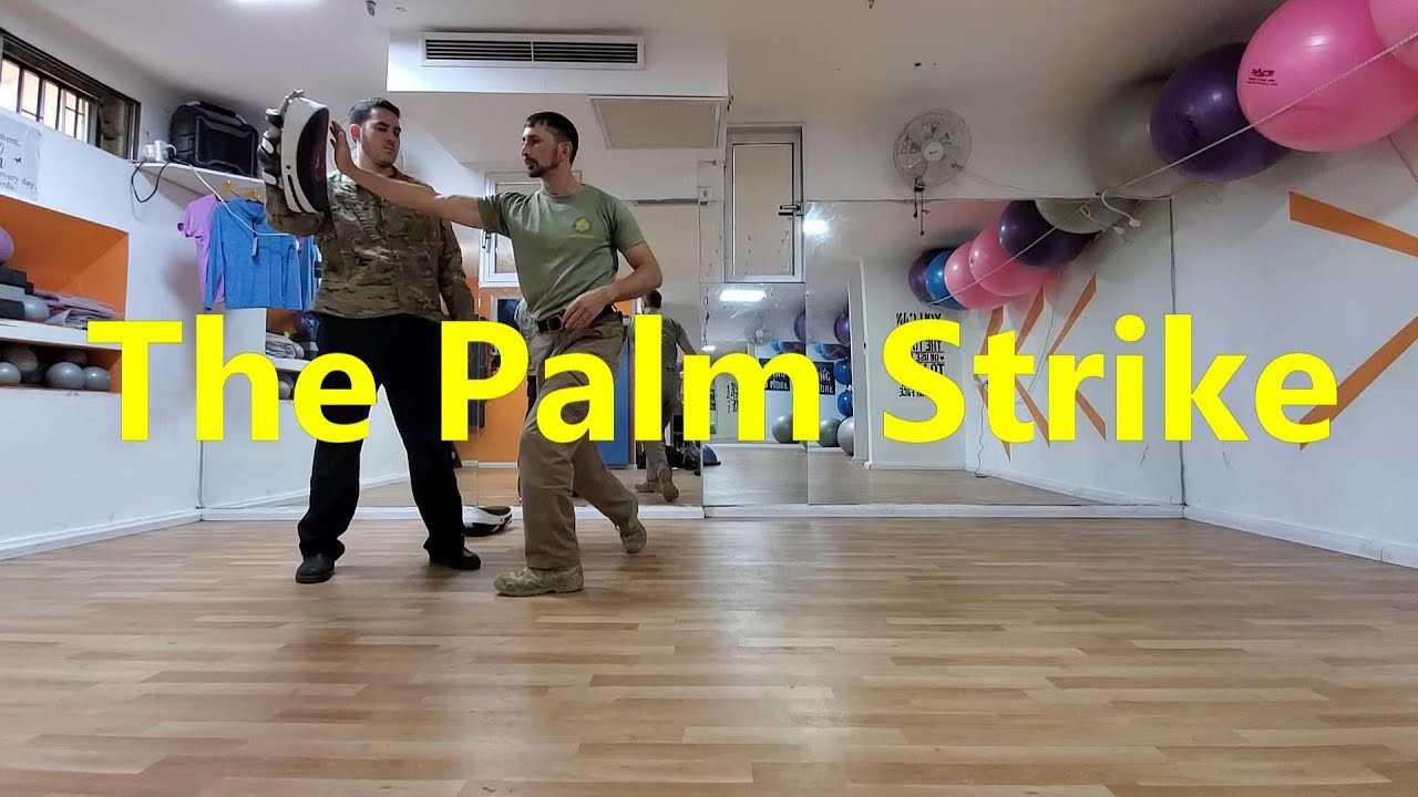 The MOST comprehensive Tutorial on HOW TO DELIVER a PALM STRIKE, you ...