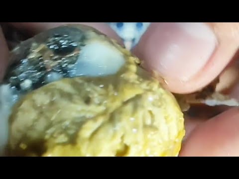 ATE BETH MIX VLOG is live!LET'S PEEL THE EXOTIC FOOD BALUT WITH CHILI#asmr#satisfying#egg - YouTube