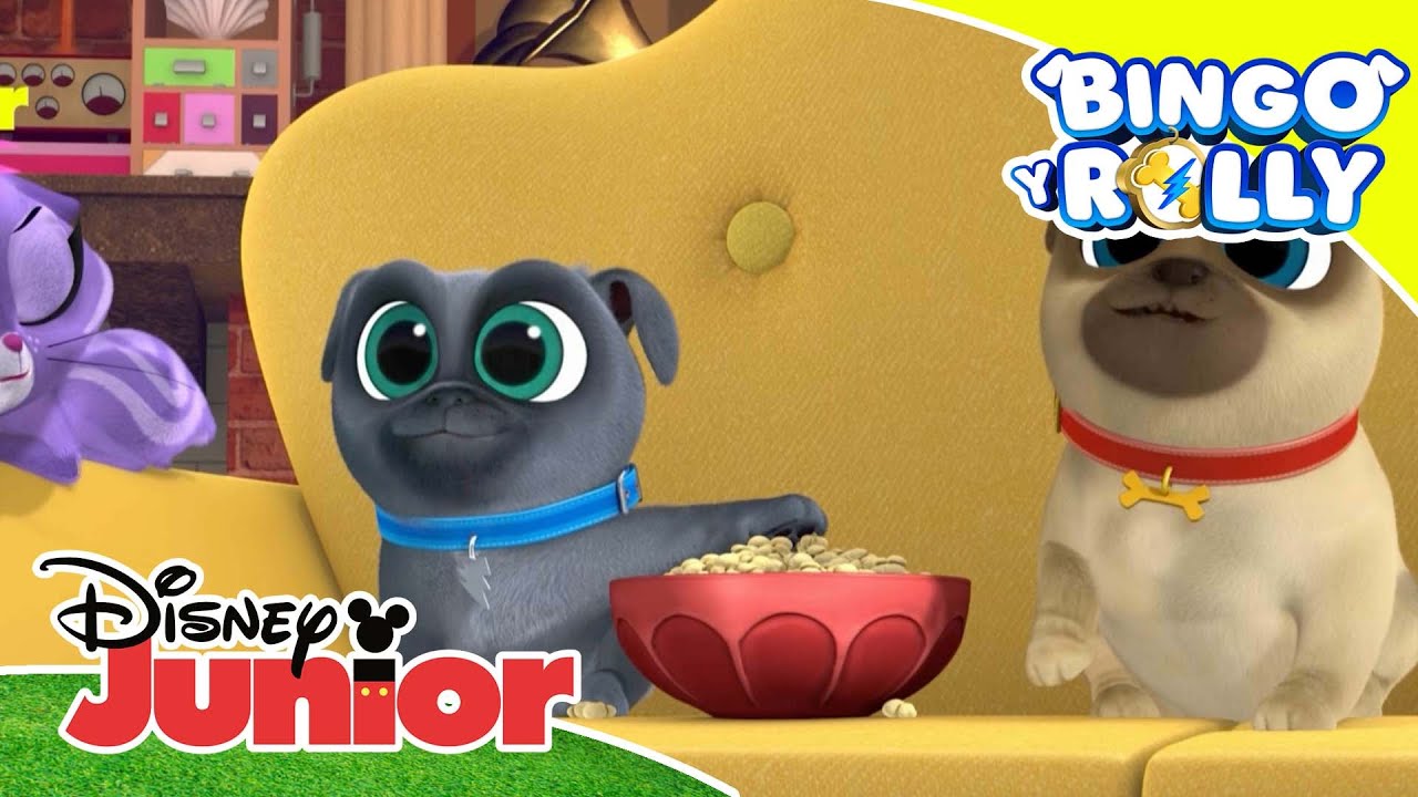 Bingo y Rolly: ¡Imita y encontrarás! | Disney Junior Oficial - YouTube