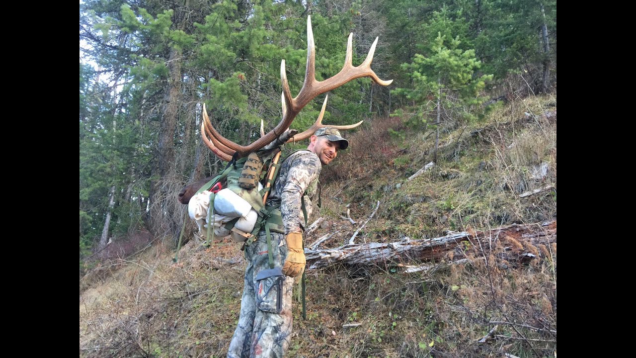 Mt. Emily 6x7 Rifle Bull Long Range - YouTube