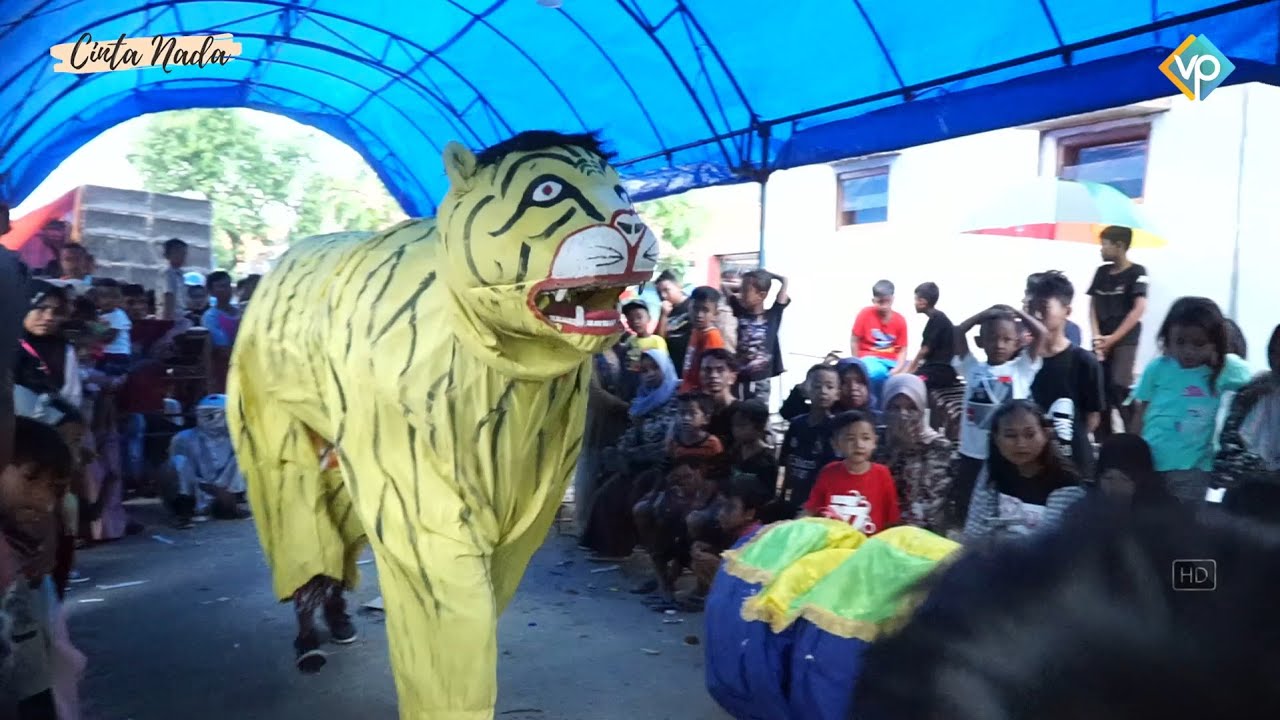 MACAN NGAMUK ?? TARUNGAN CEPOTT ~ BUROK DANGDUT CINTA NADA BUDAYA SHOW ...