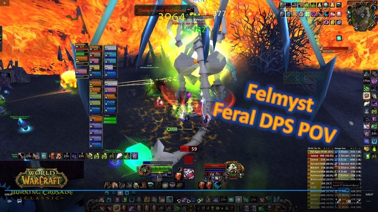 Felmyst Kill - Feral DPS POV - YouTube