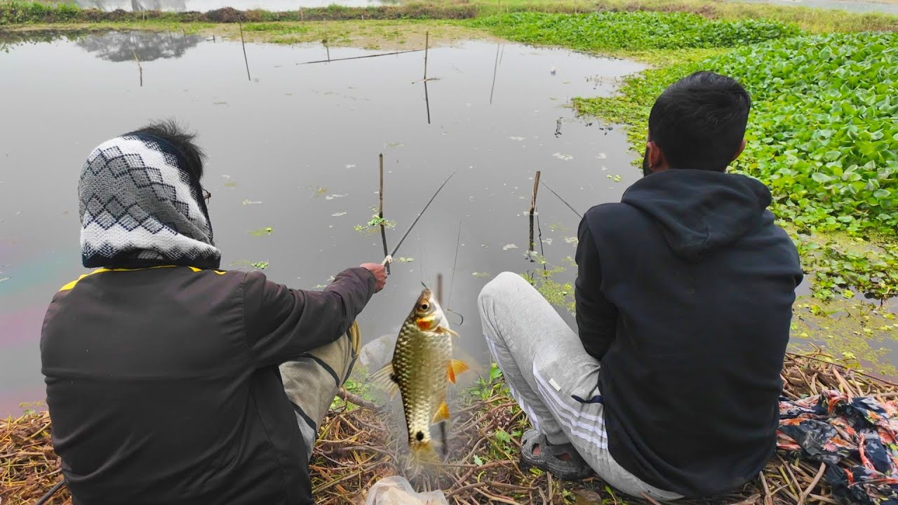বিল থেকে অসাধারণ দেশি পুটি মাছ ধরা | Dhakar Fish Lovers - YouTube