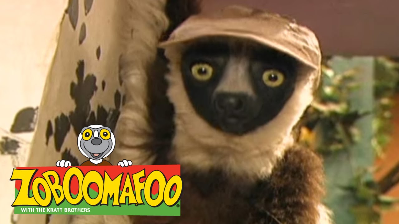 Zoboomafoo 132 - Spots and Stripes (Full Episode) - YouTube