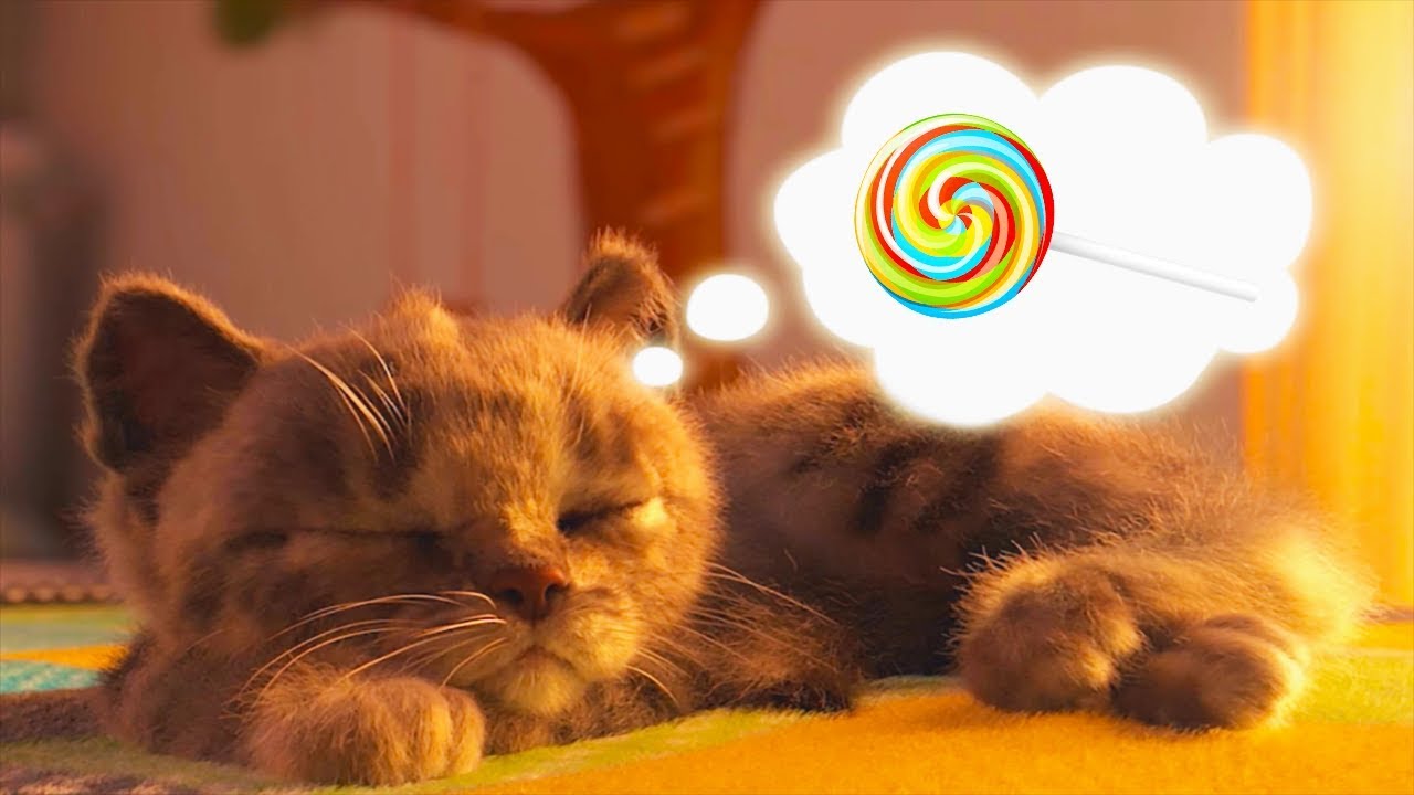 Little Kitten Preschool Adventure Educational Kids Game - My Favorite ...