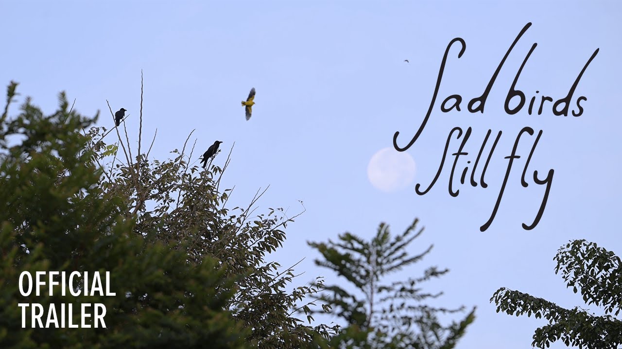 Sad Birds Still Fly | Official Trailer - YouTube