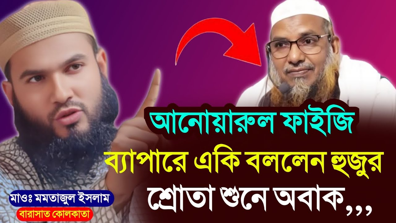 আনোয়ারুল হক ফাইজির ব্যাপারে একি বললেন | মাওলানা মমতাজুল ইসলাম সাহেব ...