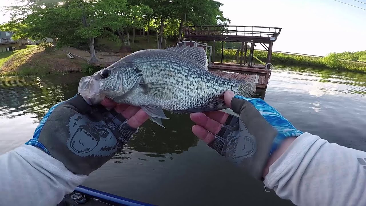 Old Road Bed Crappie - YouTube