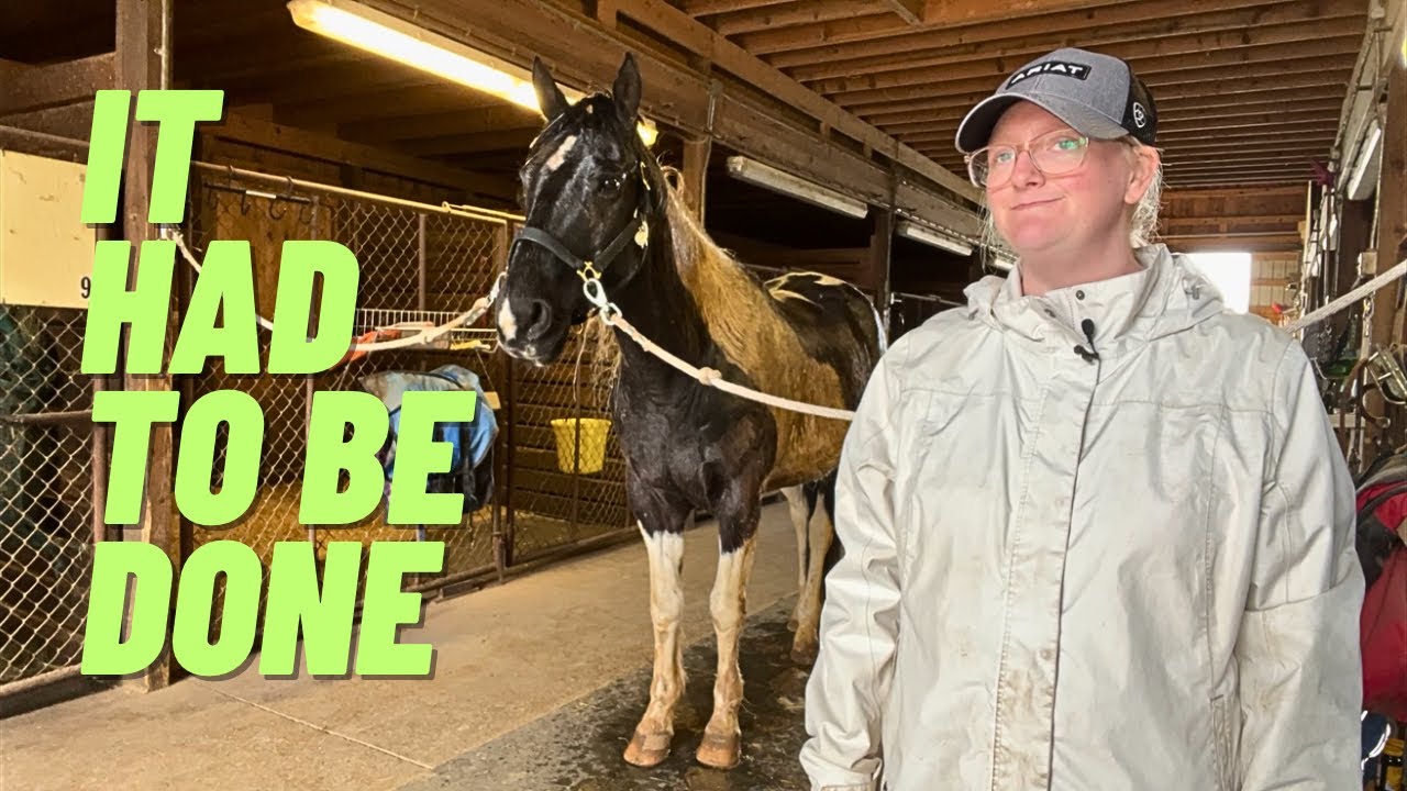 BARN VLOG // When your horse is too dirty to ride // First bath of the ...