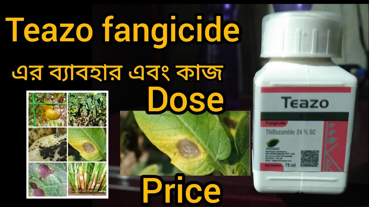 Teazo fungicide: thifluzamide 24%sc :KR life sciences - YouTube