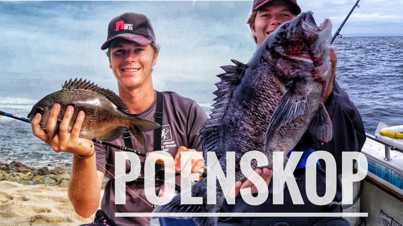 POENSKOP and BLUEFISH caught Offshore and Inshore! - YouTube