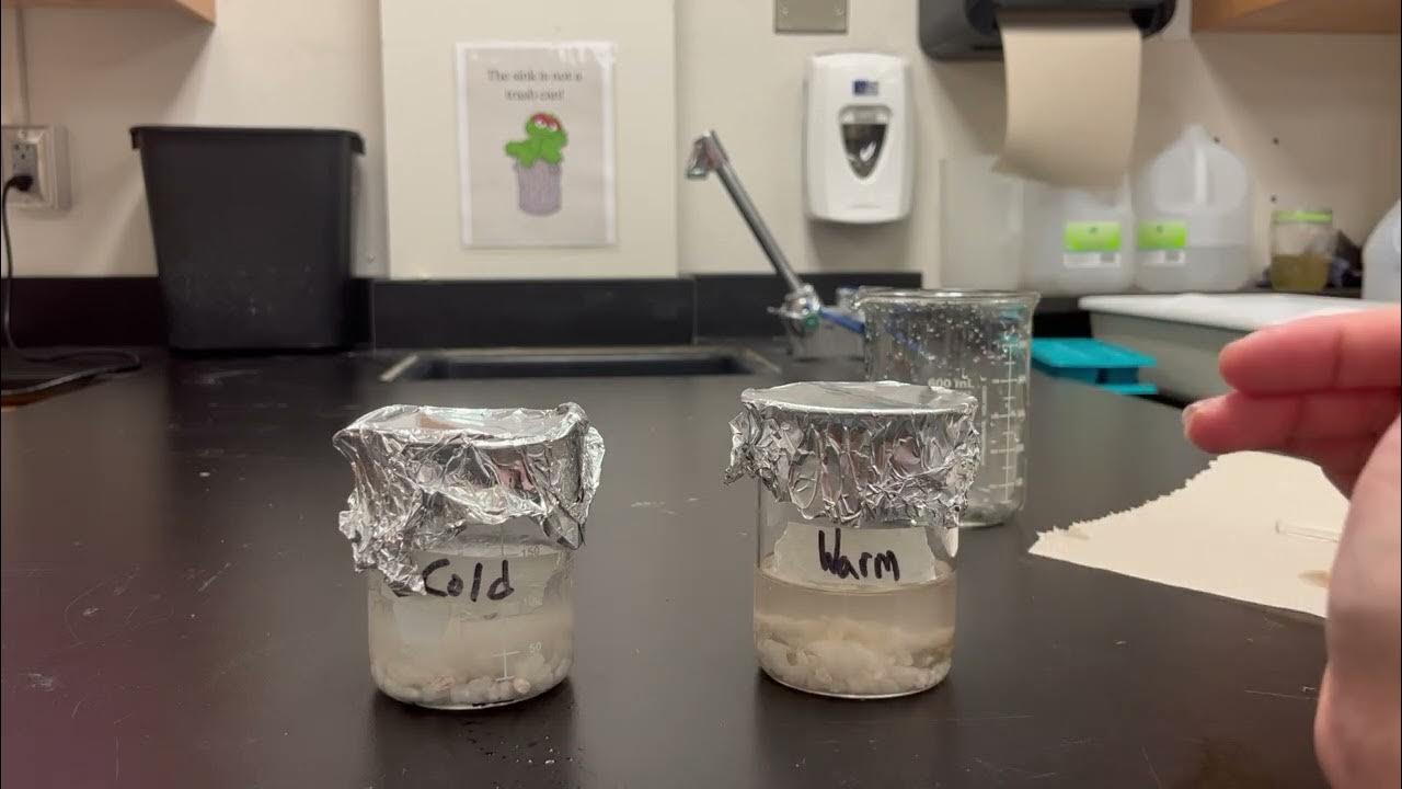 Chemical Weathering Lab - YouTube