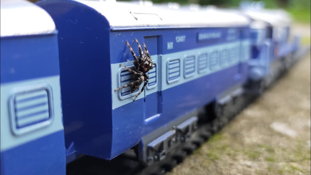 Spider in Indian Railway Train in Mini Railway Station - YouTube