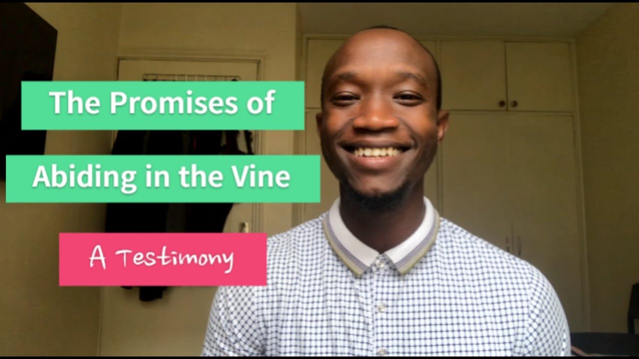 The Promises of Abiding in the Vine [ A little testimony] | Ted Langat ...