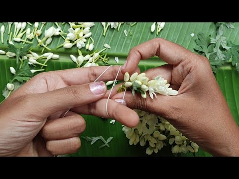 How to make Mullaipoo maala | Virajaji flowers Garland | String Jasmine ...